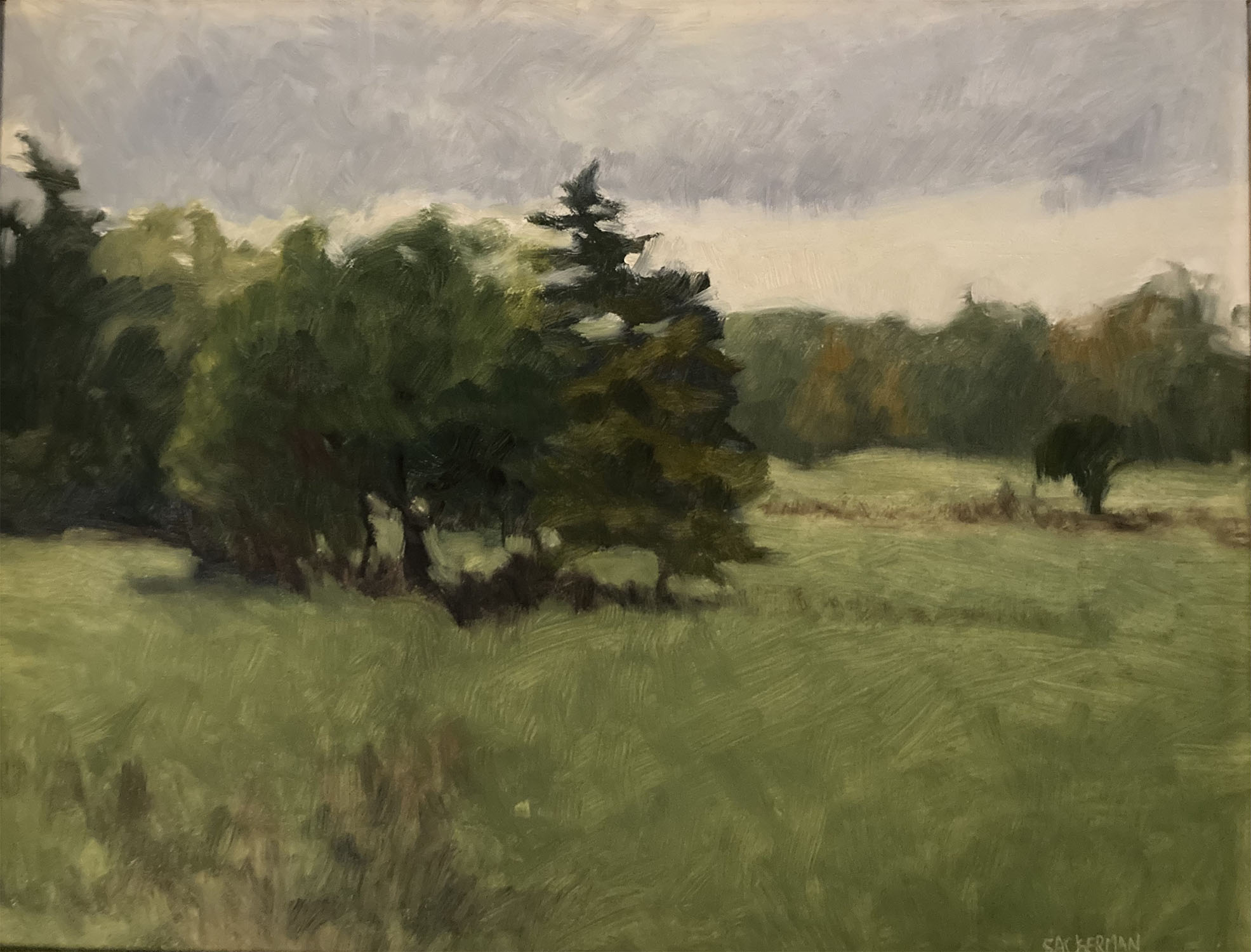 Sandra Ackerman – Paint Dexter Plein Air Festival
